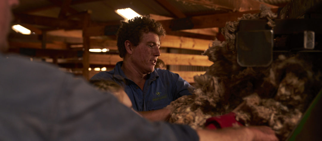 Jumbuck Life | JUMBUCK